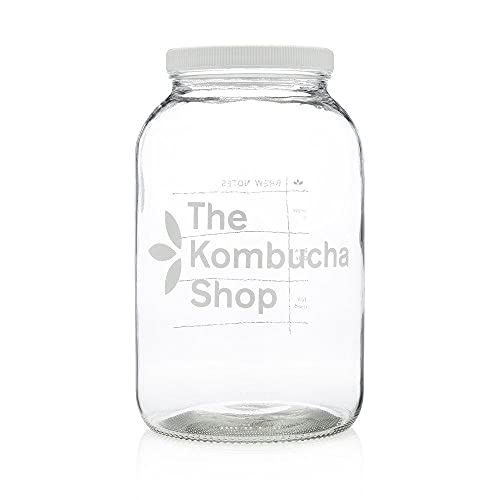 Top 10 Kombucha Continuous Brew Container of 2022 - Katynel