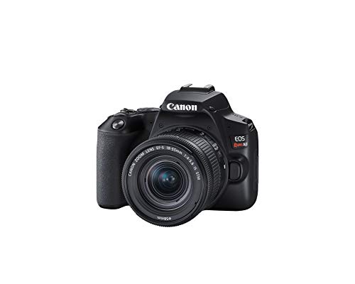 The 29 Best Wide Angle Digital Cameras of 2026 [Verified] - Cherry Picks