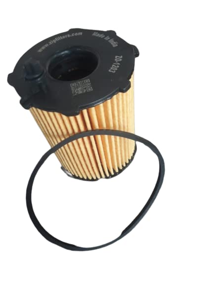 Car oil Filter For FORD FIESTA/FIGO DIESEL : Amazon.in: Car & Motorbike