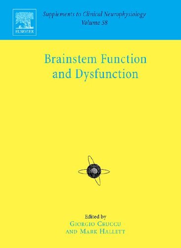 Brainstem Function and Dysfunction (Supplements to Clinical ...