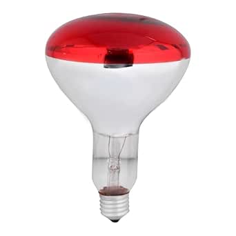 Forus 150W Infrared Heat Therapy Bulb, Pain Relief Lamp, 230V (Red) E27 ...