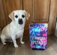 Amazon.com: The Stranger Upstairs: A Novel eBook : Matlin, Lisa M ...