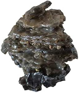 Amazon.com: 13359 211g Bonsai Suiseki Natural Gobi Agate Ventifact ...