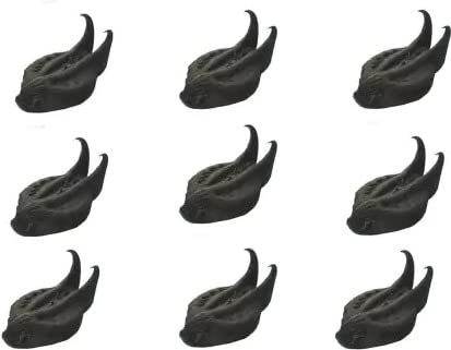 SHUBH SIDDHI Bat Head Roots 11 Pcs : Amazon.in: Garden & Outdoors