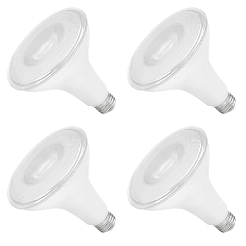 10 Best PAR38 LED Light Bulbs | 2025