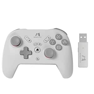 Amazon.com: AIROKA M073 Remote Controller Compatible with Switch/Switch Lite， Remote Gamepad ...