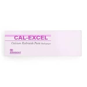 Buy Ammdent Cal Excel Dental Filling Paste Online at Low Prices in ...