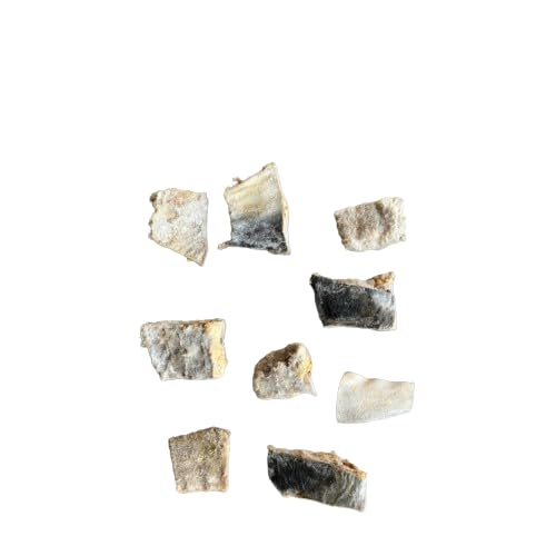 KALP SEA Food Dried Salted Queen Fish Chunks 200 Grams : Amazon.in: Pet ...
