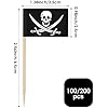 Amazon.com: AhfuLife Pirate Flag Toothpicks - 100 Pcs Sword Toothpicks ...