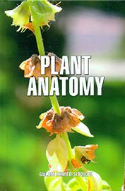 Plant Anatomy: Amazon.co.uk: 9789383101726: Books