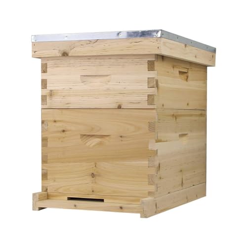 Top 10 Best Bee Hive Kits in 2025 Reviews | Buyer's Guide