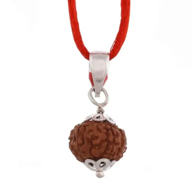 SRT Rudra 9 Mukhi Rudraksha Nau Mukhi Rudraksha from Indonesia 9 Mukhi ...
