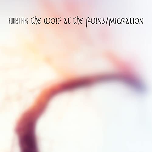 Amazon.com: The Wolf at the Ruins / Migration : Forrest Fang: Digital Music