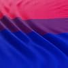 Amazon.com : DecoVibe Bi Flag 3x5 Ft for Indoor Wall Decor - Vibrant ...