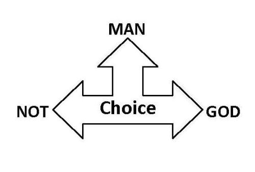 The God Choice - A refutation of Dawkins' The God Delusion - Kindle ...