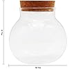 Amazon.com: Round Glass with Remote Control LED Lights - for Terrariums ...