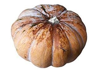 CooPany® Manjal Poosanikai Vidhaigal/Matthanga/Yellow Pumpkin Seed ...