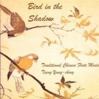YUNG CHING,TSENG - Bird In The Shadow - Amazon.com Music