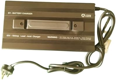 Axiom Charger E Rickshaw 48v 18 Amp Lead Acid Battery Orignal : Amazon ...