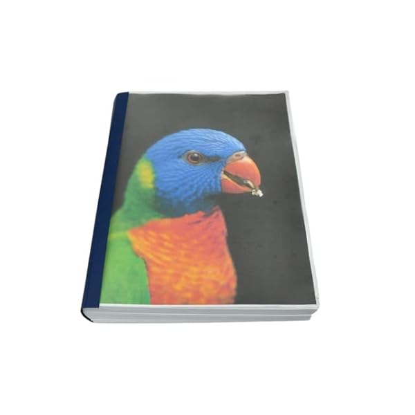 The 30 Best Binding Covers of 2025 [Verified] - Cherry Picks