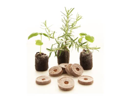 ORGANIC Coco Pellets/Coco disc/Coco Coin/Coir Coin 40mm Growing Medium ...