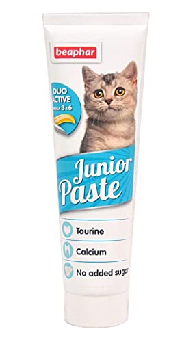 Kittenpaste – Die 15 besten Produkte im Vergleich - Haustierratgeber ...