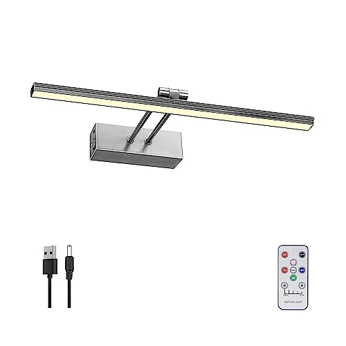 Best Brushed Picture Lights to Illuminate Your Artwork Elegantly ...