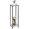 Amazon.com: Dipion Extra Tall Plant Stand Indoor,40 Inch Plant Stands,2 ...