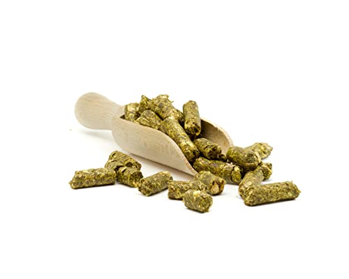 Maiscobs Pferd – Die 15 besten Produkte im Vergleich & Angebote ...