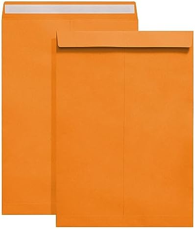 Tanshuqin 9" x 12" Self-Seal Catalog Envelopes Anti Tear Recycled Kraft ...