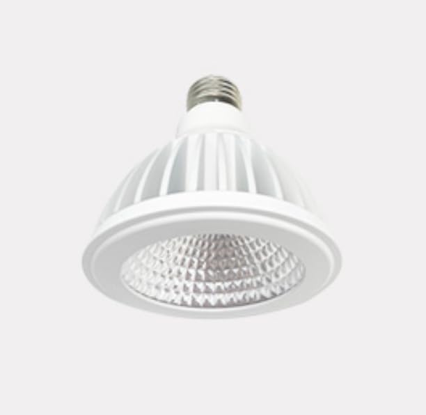 LED PAR30 Grow Light Bulb, E26,3000K, 20W Full Spectrum for Indoor ...