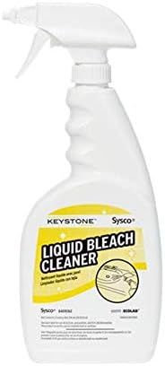 Amazon.com: Ecolab Sysco Liquid Bleach Cleaner- 20 FL OZ : Health ...