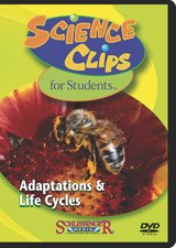 Amazon.com: Adaptations & Life Cycles : Movies & TV