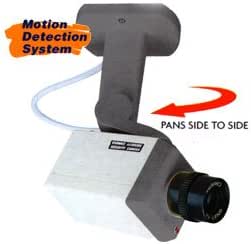 Amazon.com: Fake Motion Activated Security Camera : Everything Else
