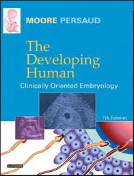 The Developing Human: Clinically Orientated Embryology: Keith L. Moore ...