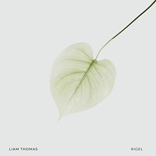 Play Rigel by Liam Thomas on Amazon Music