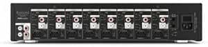 Amazon.com : D1675 D-Series 16-Channel Digital Amplifier : Electronics