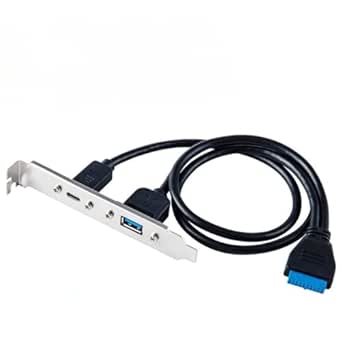 Amazon.com: ChenYang USB 3.0 Front Panel Header 19/20Pin to USB C & USB 3.0 Female Chassis Back ...