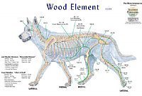 Canine 5 Element Meridian Chart Set of 4 Dog (Lake Forest Anatomicals ...