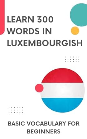 Amazon.com: Learn 300 words in Luxembourgish: Basic vocabulary for ...