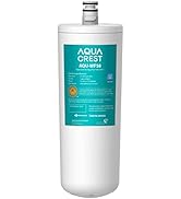 Amazon.com: AQUACREST AP517 Under Sink Water Filter, Replacement for ...