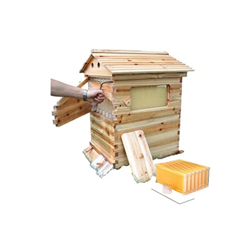 Este es el Top 20 Colmenas Súper Ventas en Internet -【2023】