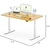 Amazon.com: FLEXISPOT E6 Pro Oval Leg Dual Motor 3 Stages Standing Desk ...