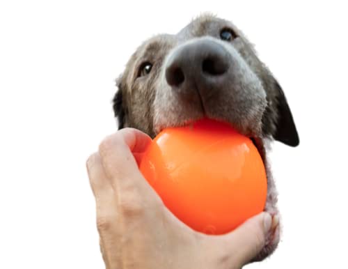 Ruff Dawg Ball – The 15 best products compared - Wild Explained