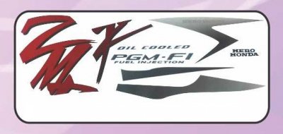 BikzSpare COMPLETE STICKER KIT KARIZMA ZMR : Amazon.in: Car & Motorbike