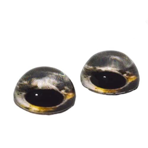 Amazon.com: High Dome Koi Fish Half Sphere Glass Eyes | Realistic ...