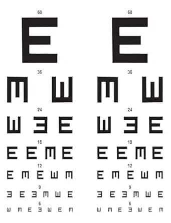 ZELOX Vision Snellen Chart for Eye Testing (E chart) Pack of 2 : Amazon ...
