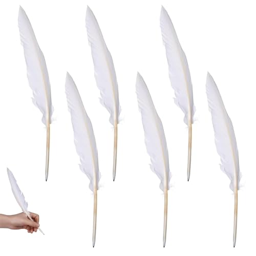 What are some ways to store and display a quill pen?