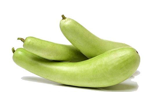 Bottle Gourd Ghia Ghiya Vegetable Seeds : Amazon.in: Garden & Outdoors