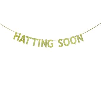 TENNYCHAOR Hatching Soon Banner,Dinsaur Theme first Birthday Party ...